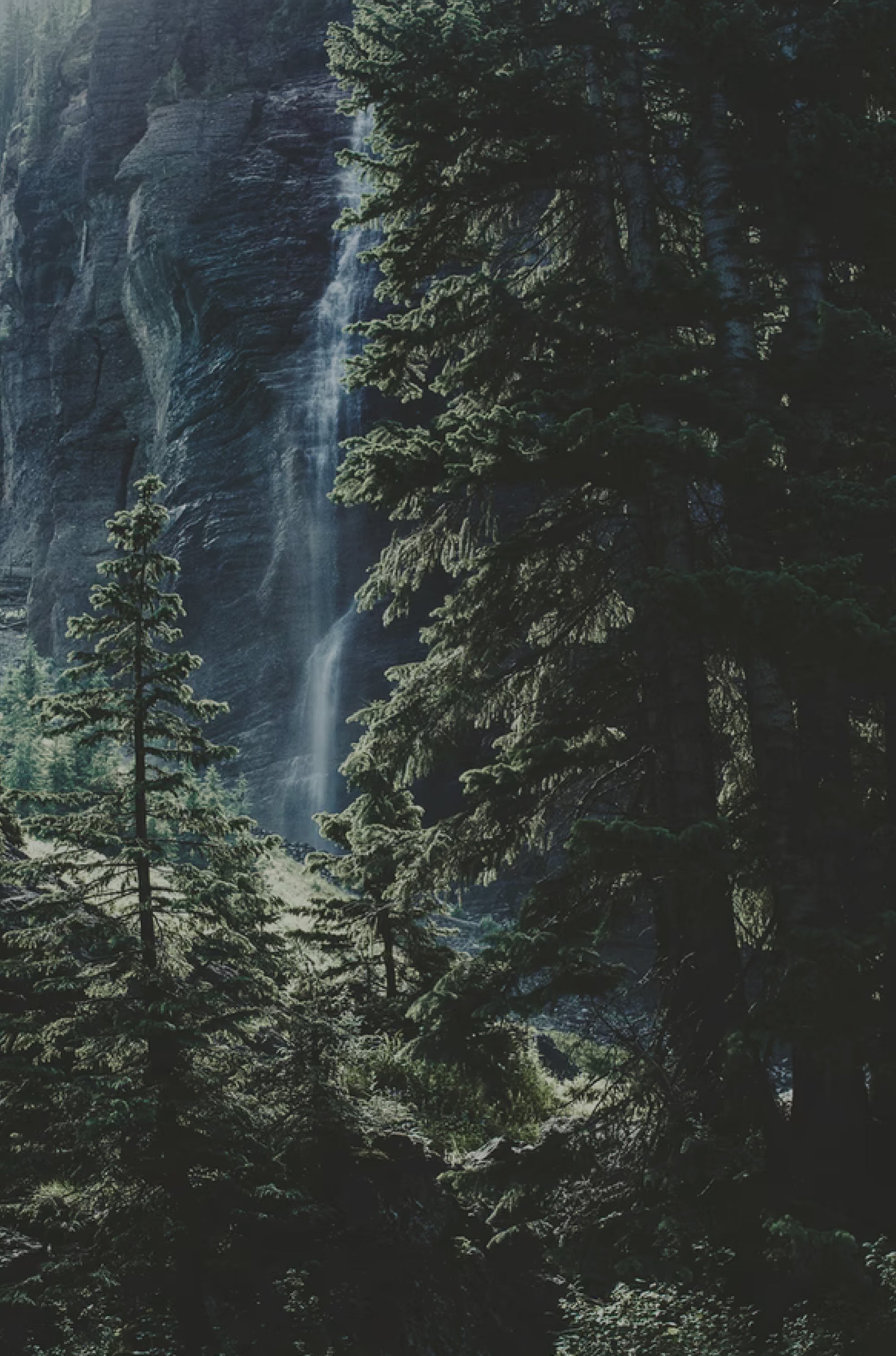 Contemporary Lighting | Brightech | Innovative Designs