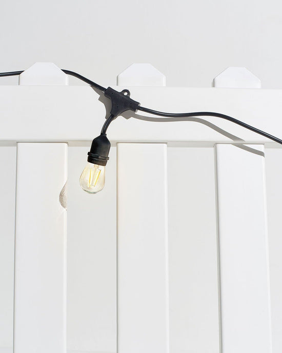 Ambience Pro 48ft LED Plug-in String Lights | Warm White | Brightech